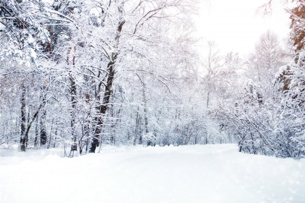 How Do You Remove A Broken Shear Pin From A Snowblower - Trim That Weed