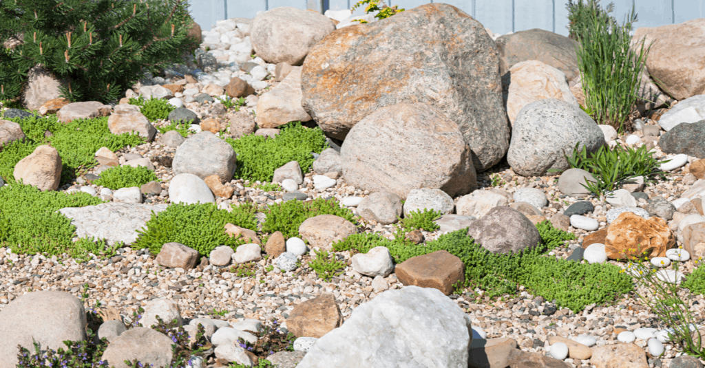 How To Remove Rocks From Yard