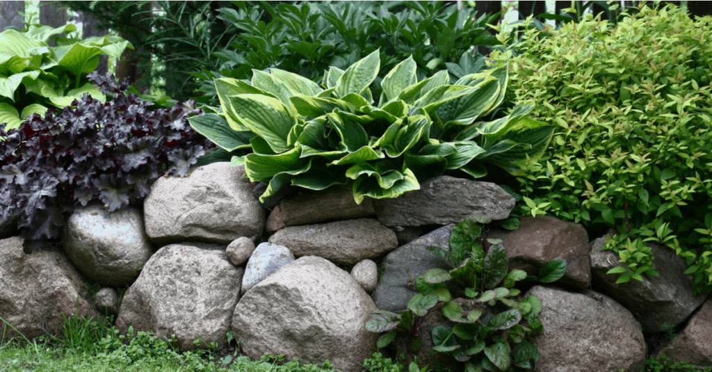 How To Make A Rockery Garden