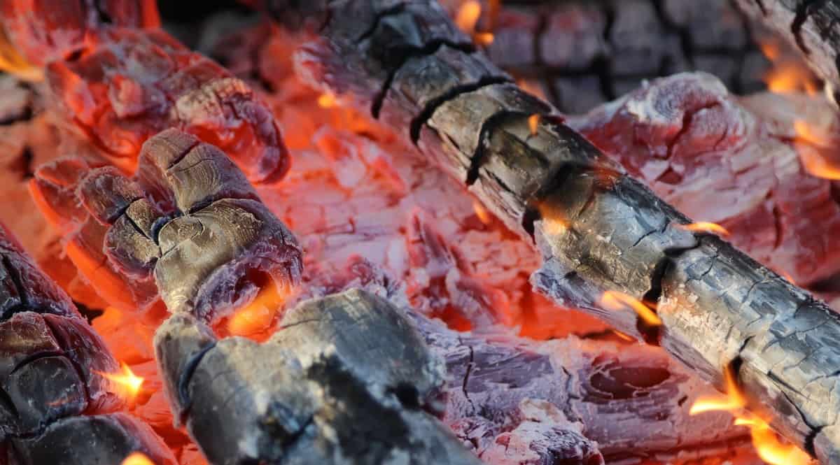 Best Wood Fired Grill