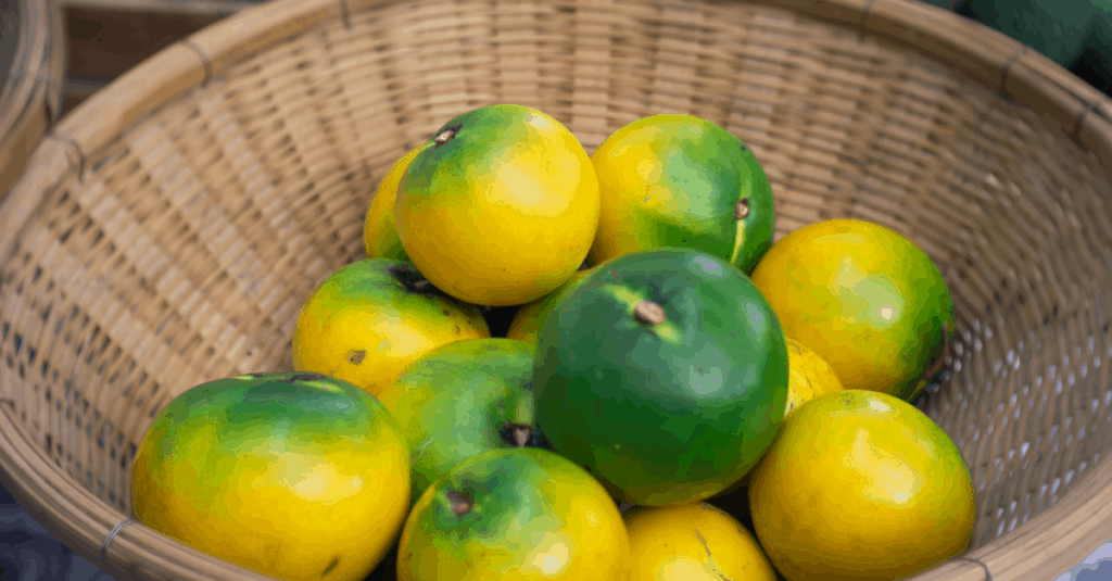 Abiu: How to Plant, Grow, and Harvest - Trim That Weed