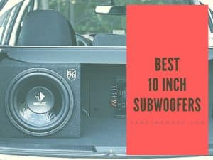 Best 10 Inch Subwoofers: Ultimate Guide - Trim That Weed